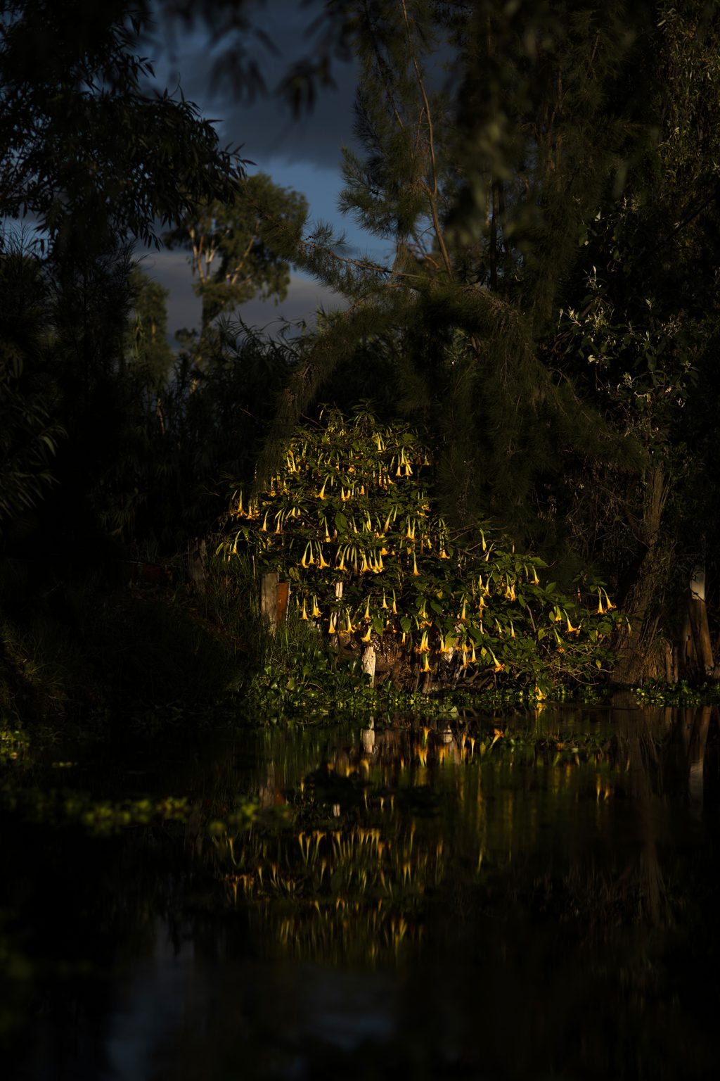 Xochimilcas: los eslabones que guardan la claves del vergel | Revista 192