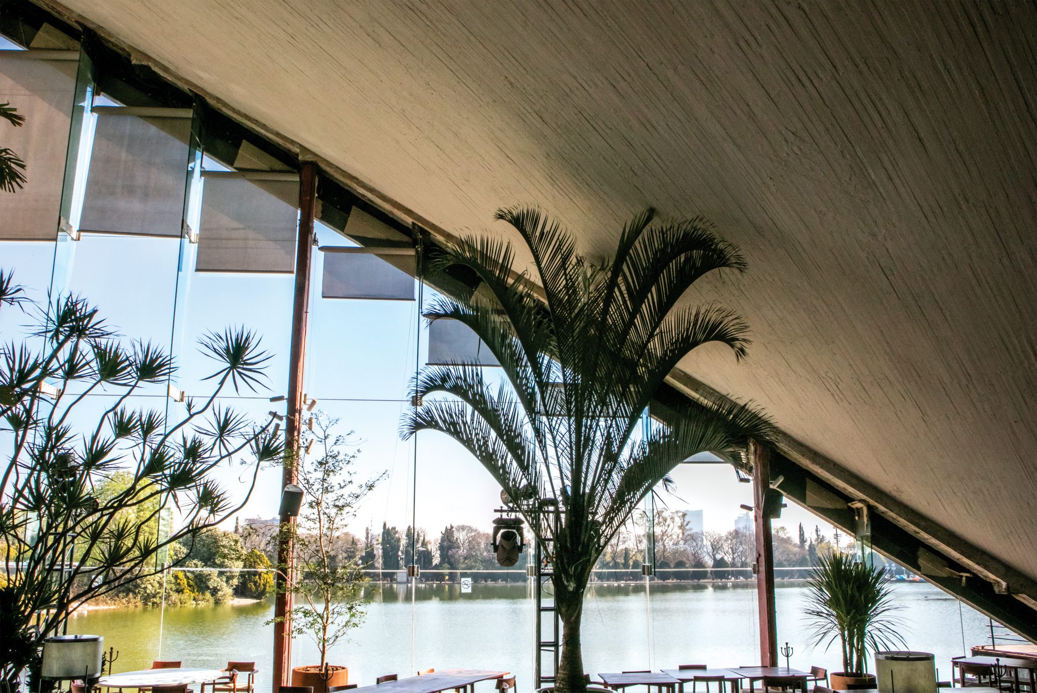 Lago Algo | Revista 192