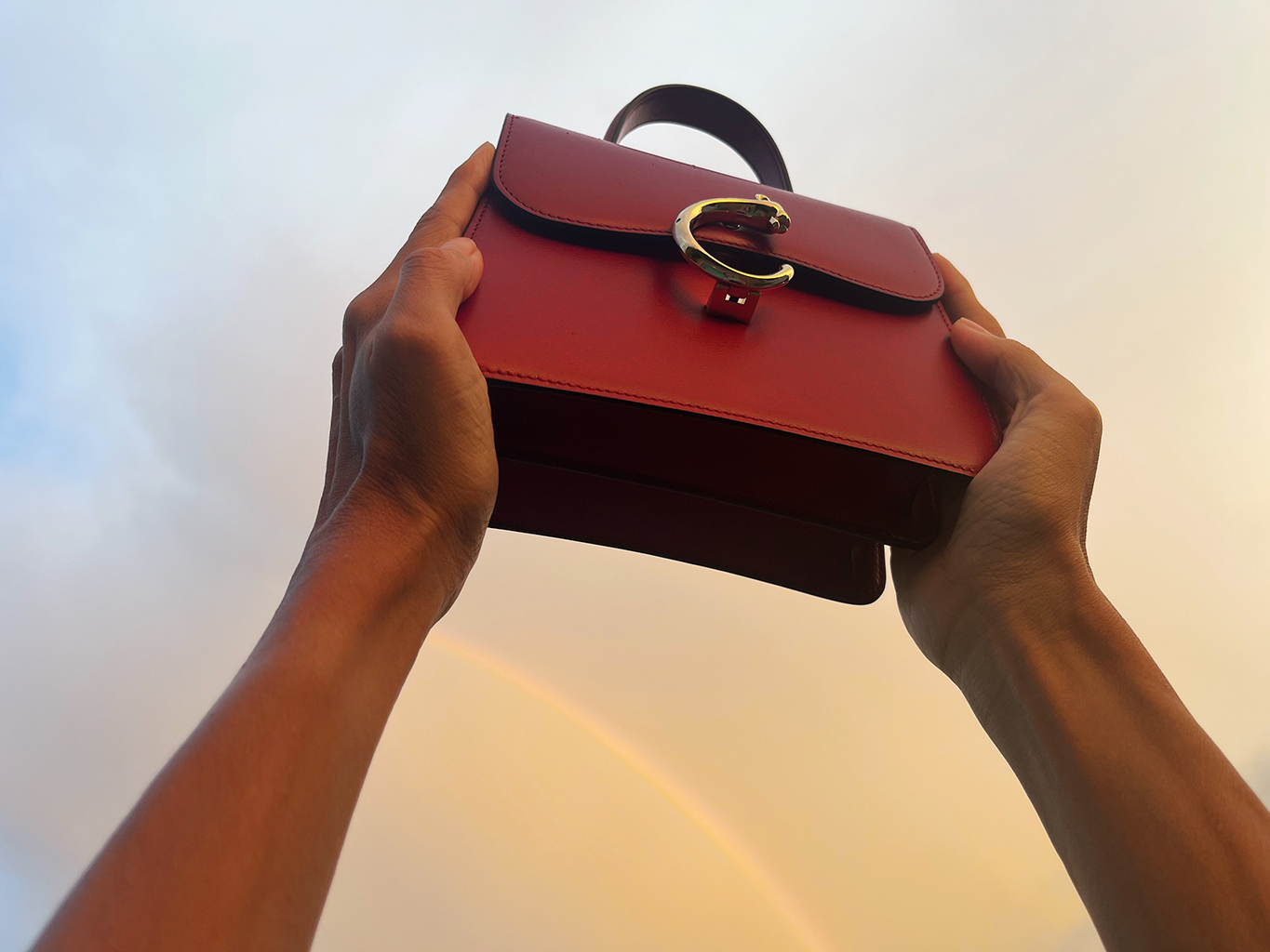 UNA NUEVA PANTERA: El bolso Panthère... | Revista 192